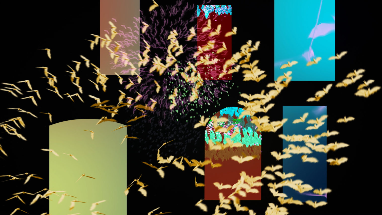 Domen Dimovski: Noč netopirjev – ZDSLU